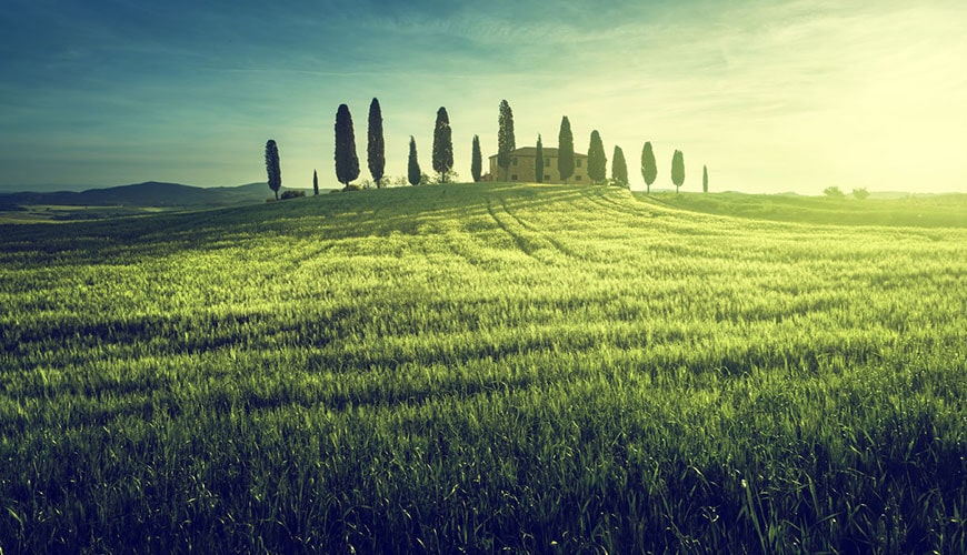 Pozemkový servis - Kompletní podpůrné služby - Dalphen Development